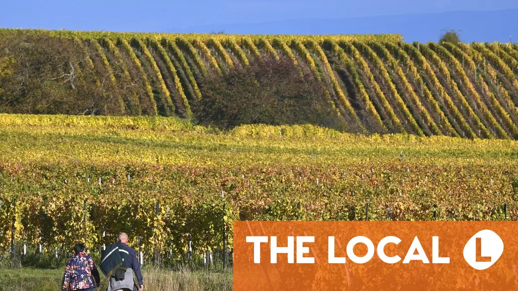 How to make friends with your French neighbours in rural France