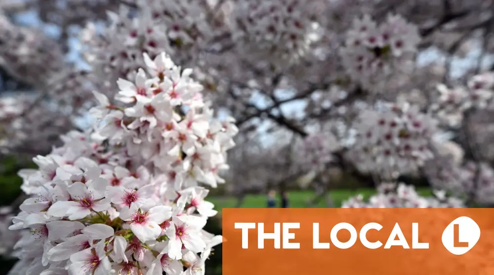Seven signs that spring has arrived in Germany