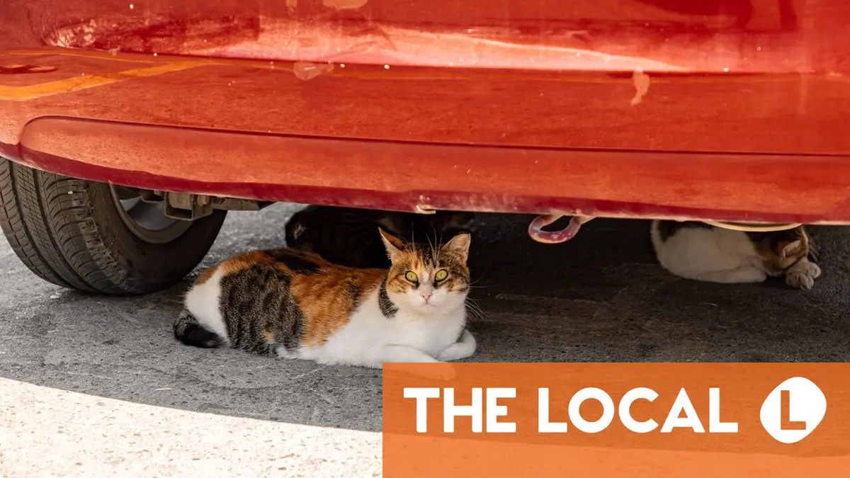 The complete A-Z guide to German prefixes and what they mean