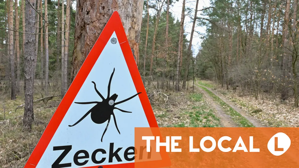 Ticks in Germany: How to avoid them and what to do if you get bitten