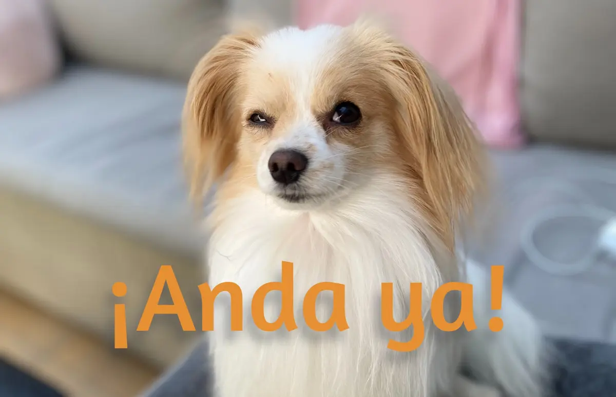 Spanish Expression of the Day: ¡Anda ya!