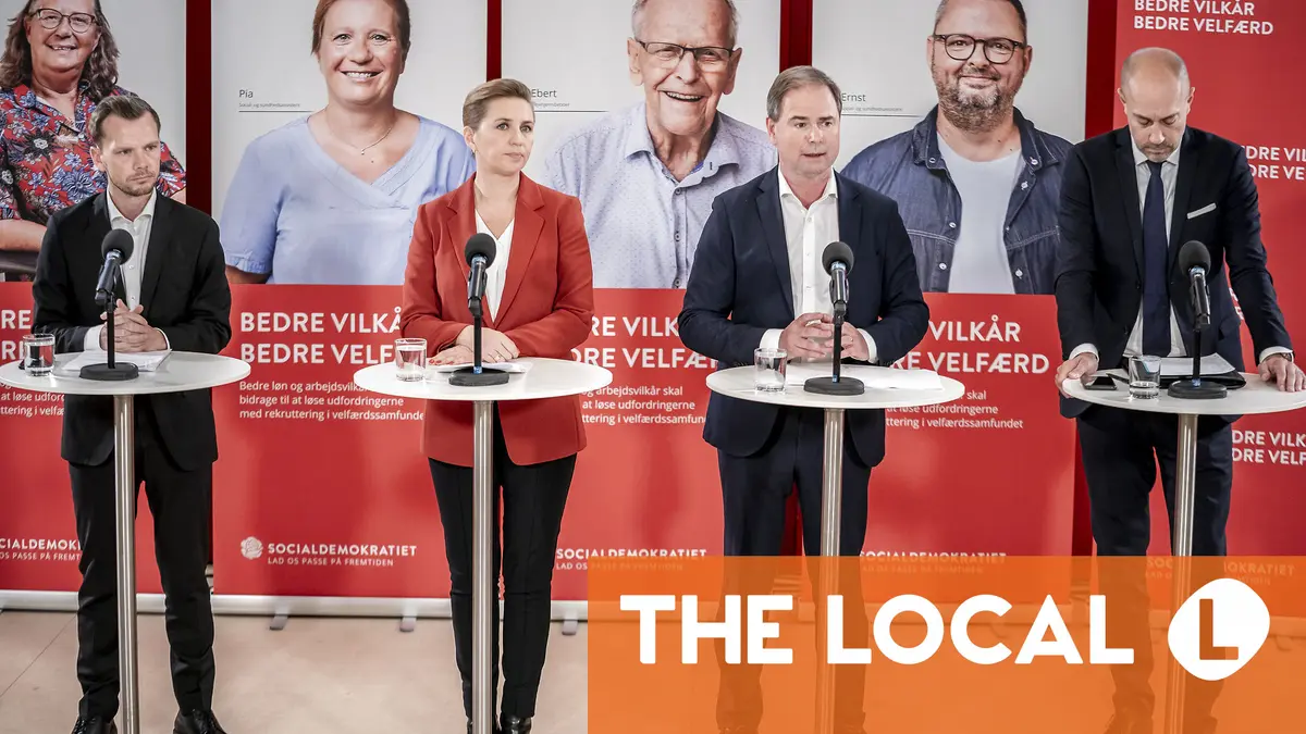 What is in Danish government’s plan for public sector pay?