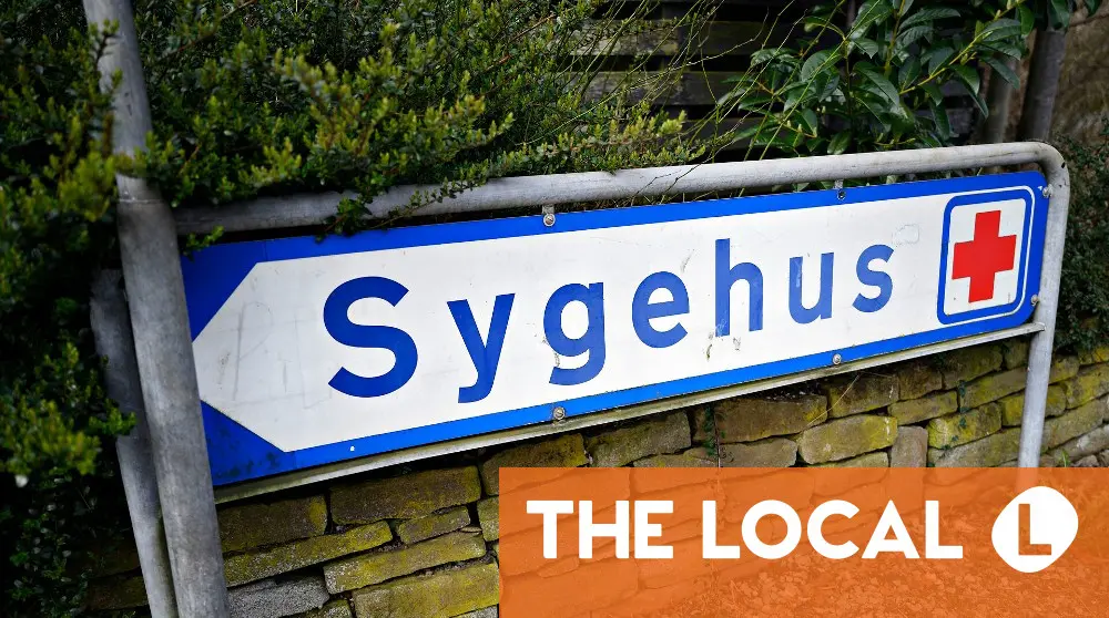 Reforms to Danish health service delayed by new government