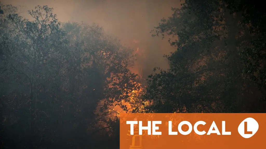 Wildfire rules, digital ID and retirement: 6 essential articles for ...