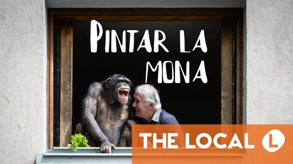 Spanish Expression of the Day: Pintar la mona