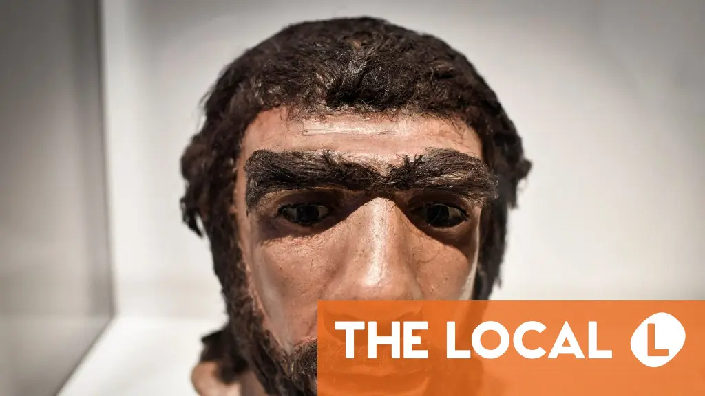 57,000-year-old Neanderthal engravings found in French cave