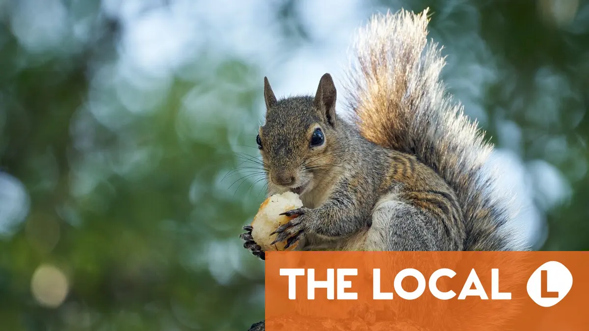 10 phrases that explain the German approach to life