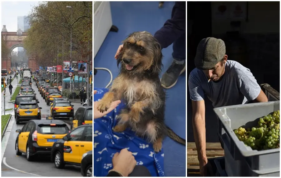 EXPLAINED: What changes about life in Spain in September 2023