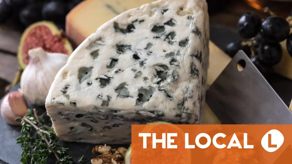 The best Norwegian cheeses you need to try