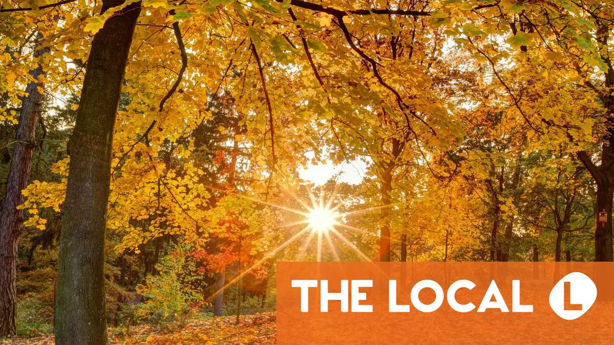 10 German words to get you in the mood for autumn