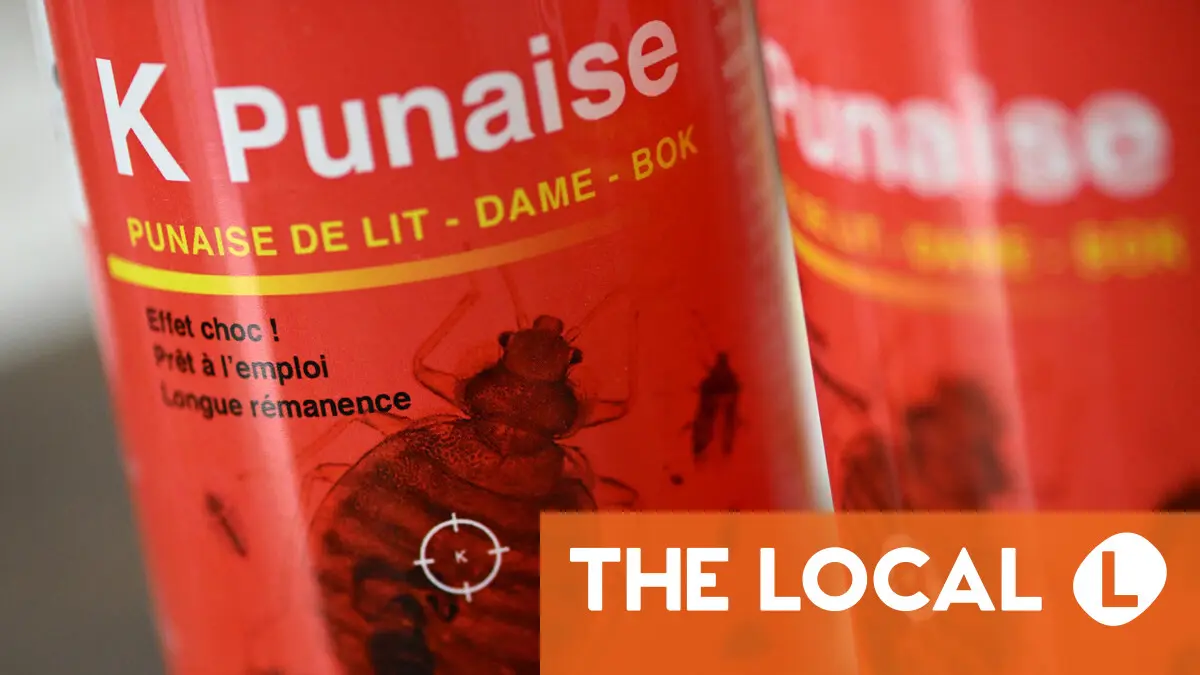 How to not freak out over bed bugs in France