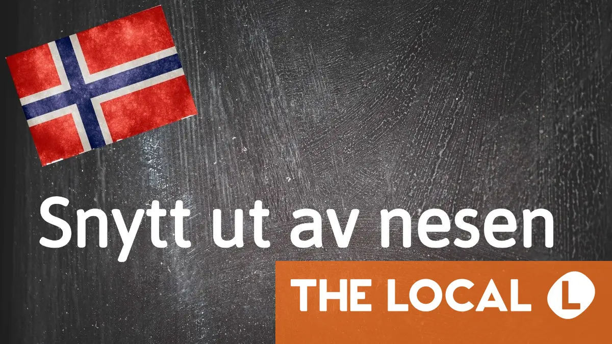 Norwegian expression of the day: Snytt ut av nesen