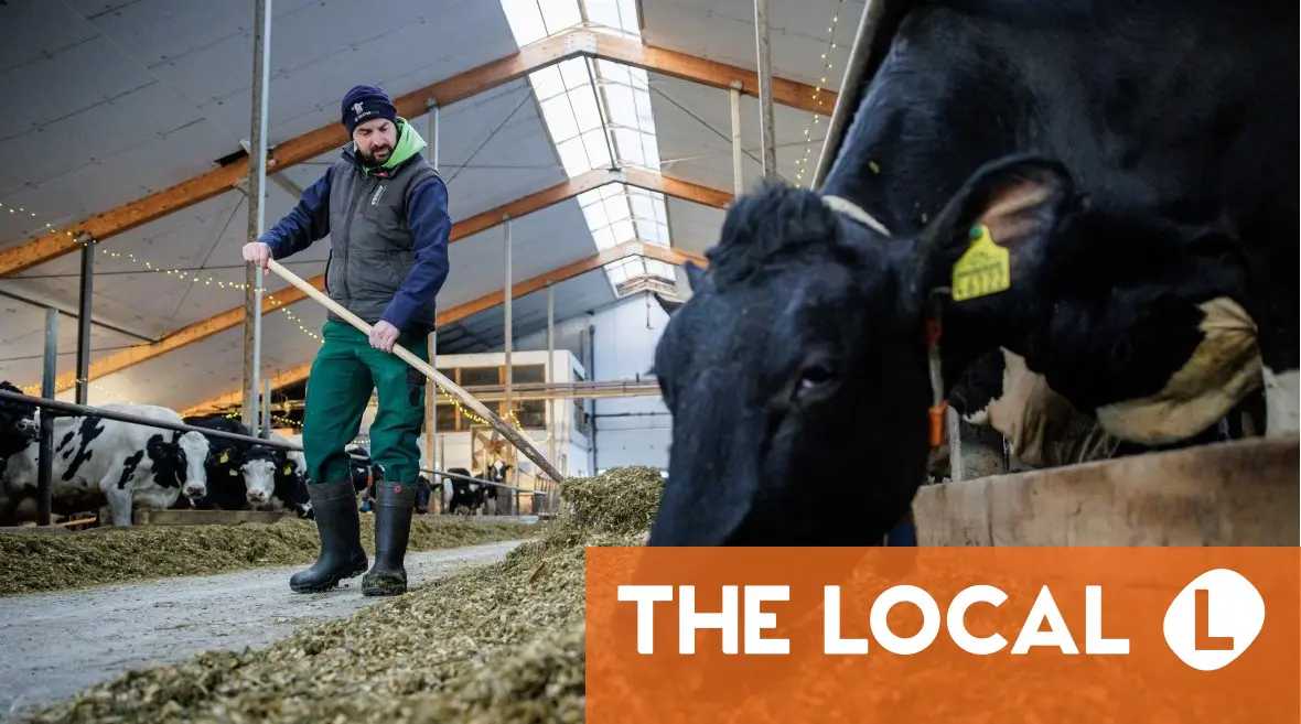 German family farm struggles fuel protest discontent