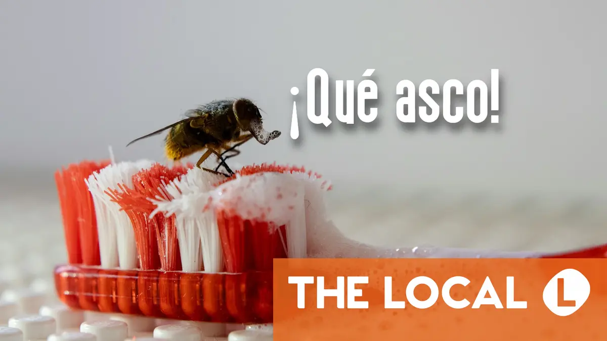 Spanish Word of the Day: Asco