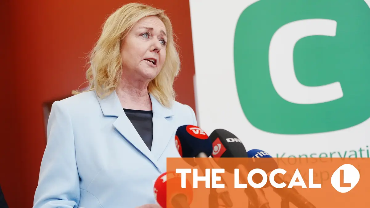 Danish Conservative party names Juul as new leader