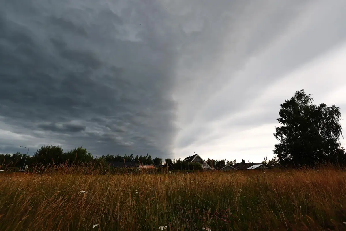 Today in Sweden: A roundup of the latest news on Thursday