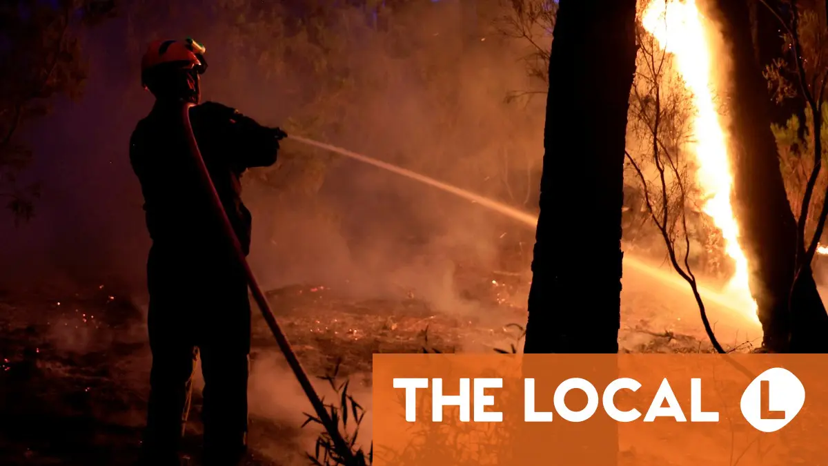 Forests closed in south-east France due to high risk of wildfires