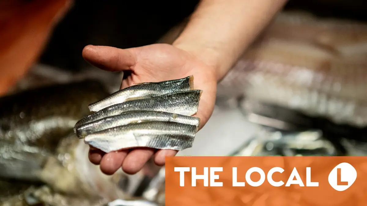 Why is it so hard to find fresh fish at supermarkets in Sweden?