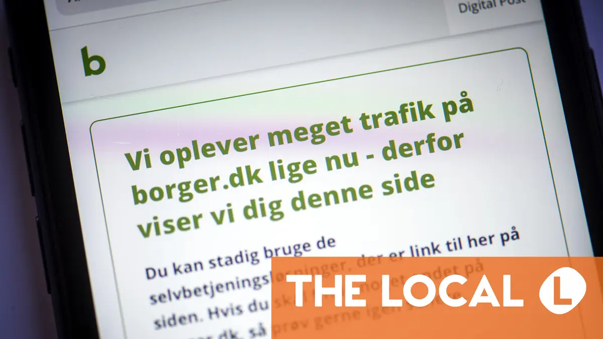 Danish authorities face criticism for AI use in welfare cases