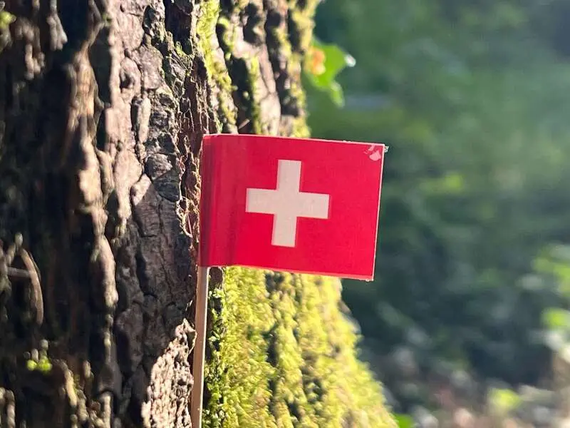 What's expected of you at a Swiss citizenship ceremony?