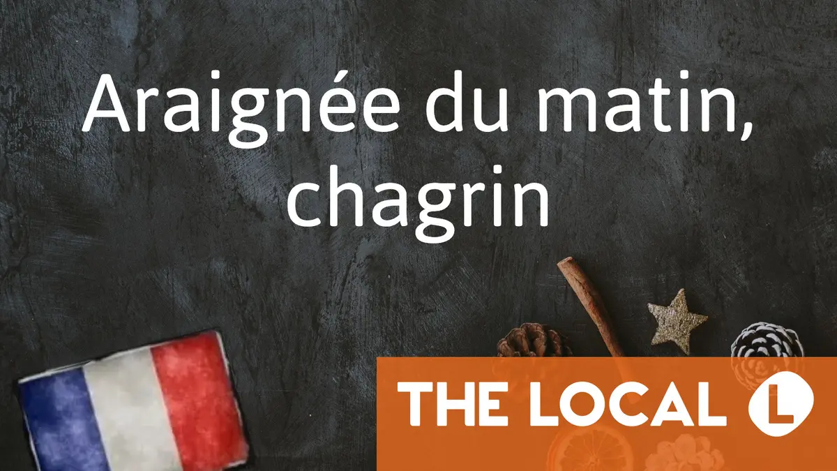French Phrase of the Day: Araignée du matin, chagrin