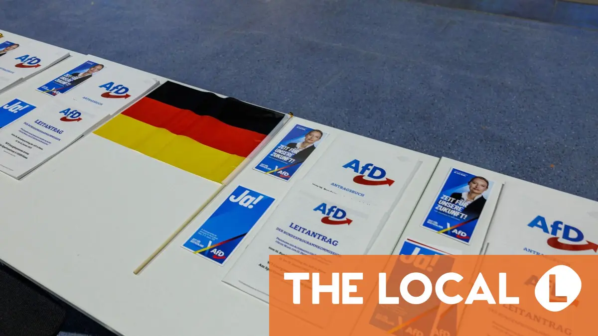 Germany's AfD investigated over 'deportation ticket' flyers in Karlsruhe