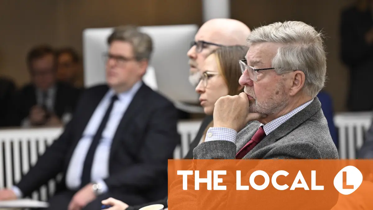 What does Sweden's plan to change the constitution mean for dual citizens?