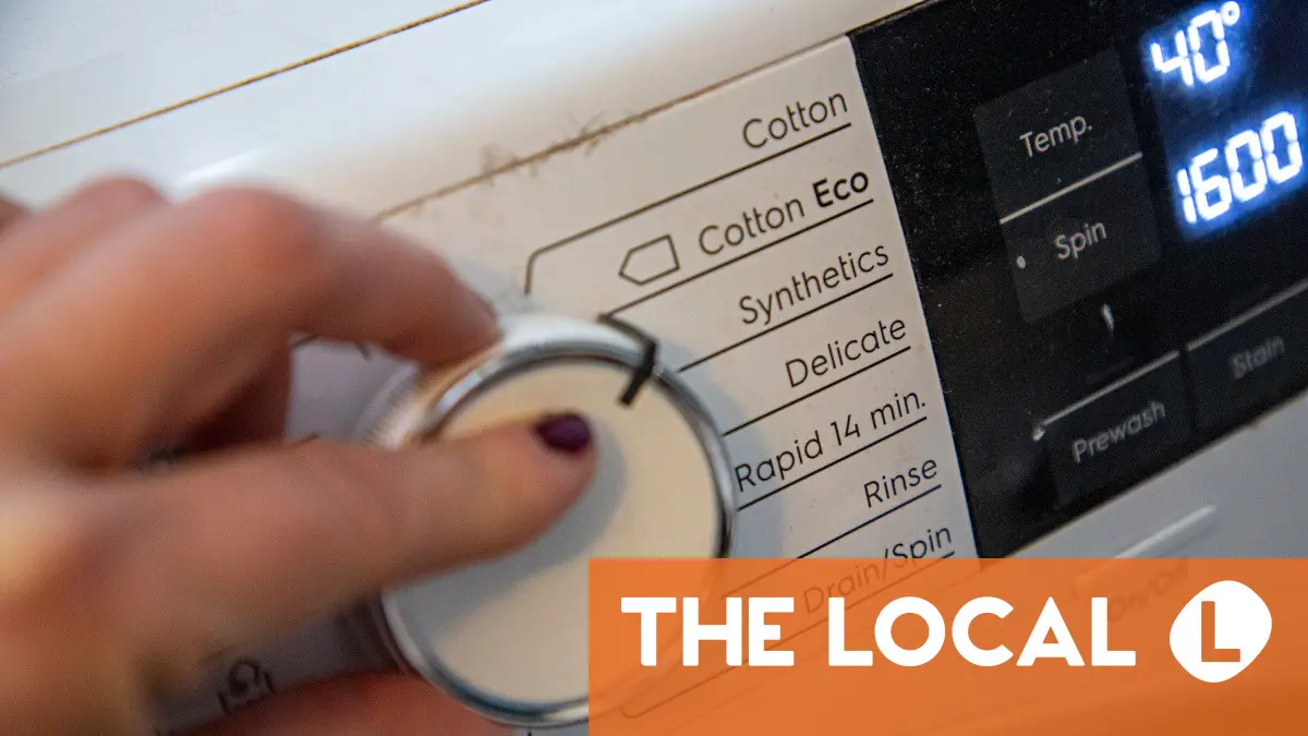 Swedish cat survives full cycle in washing machine