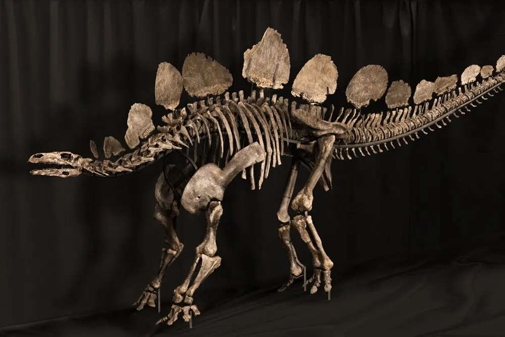 Today in Denmark: A roundup of the news on Tuesday