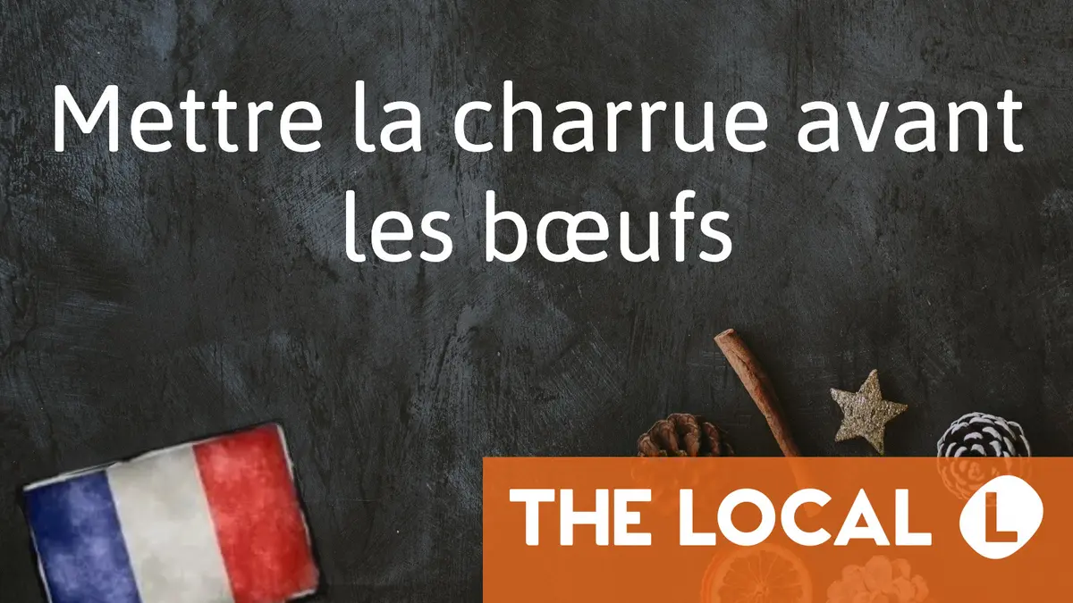 French Phrase of the Day: Mettre la charrue avant les bœufs