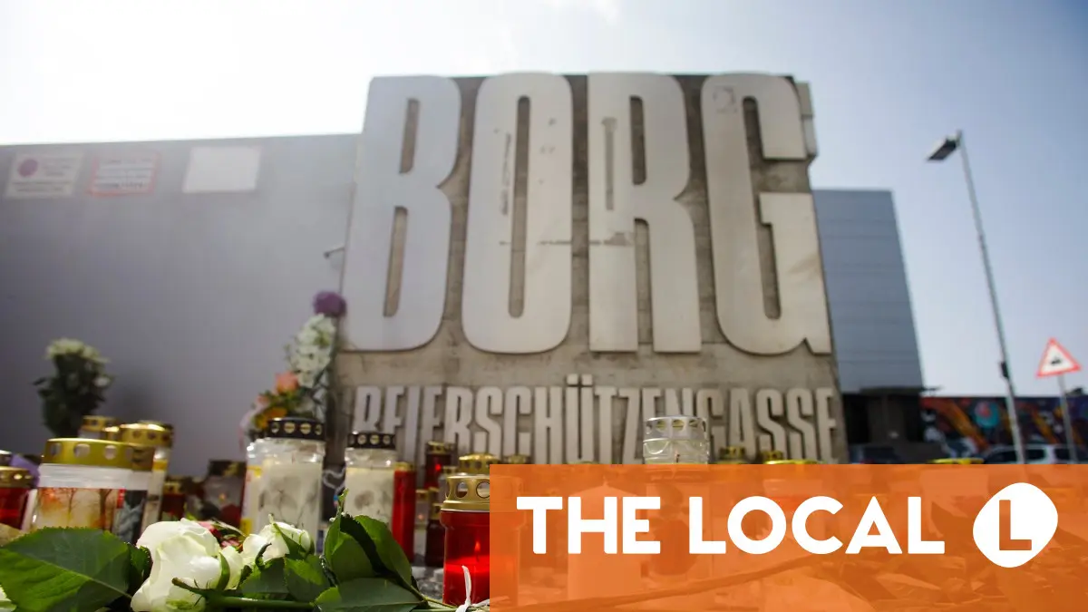 How Austria plans to tighten gun laws after deadly Graz shooting