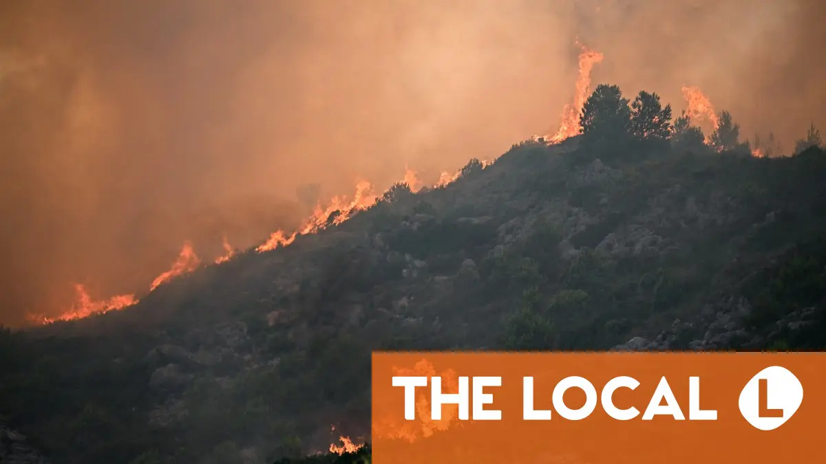 IN PICTURES: Massive wildfire burns through southern France