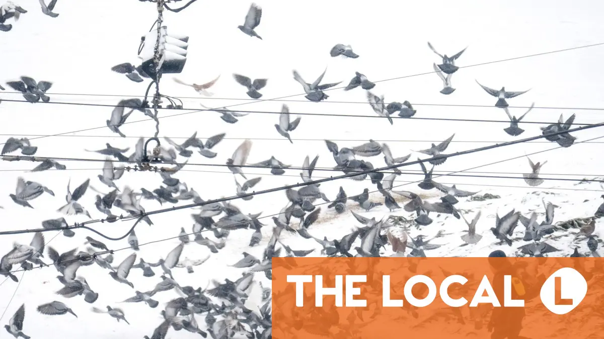 Today in Austria: A roundup of the latest news on Monday