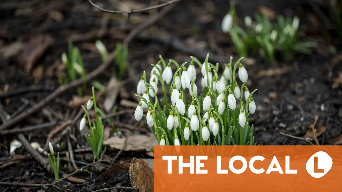 KEY POINTS: What changes about life in Denmark in March 2026