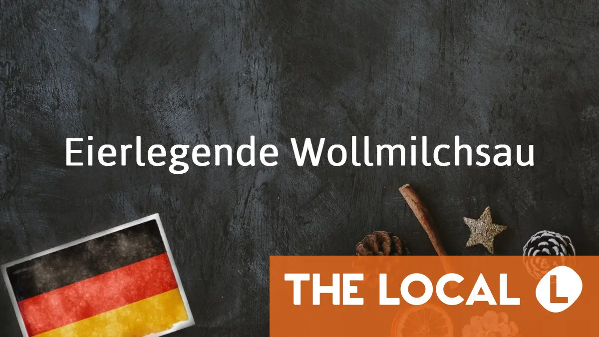 German phrase of the day: Eierlegende Wollmilchsau