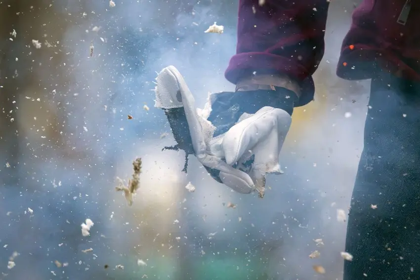 Today in Germany: A roundup of the latest news on Tuesday