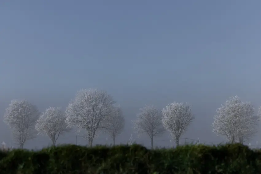 Winter weather: How long will France's New Year icy spell last for?