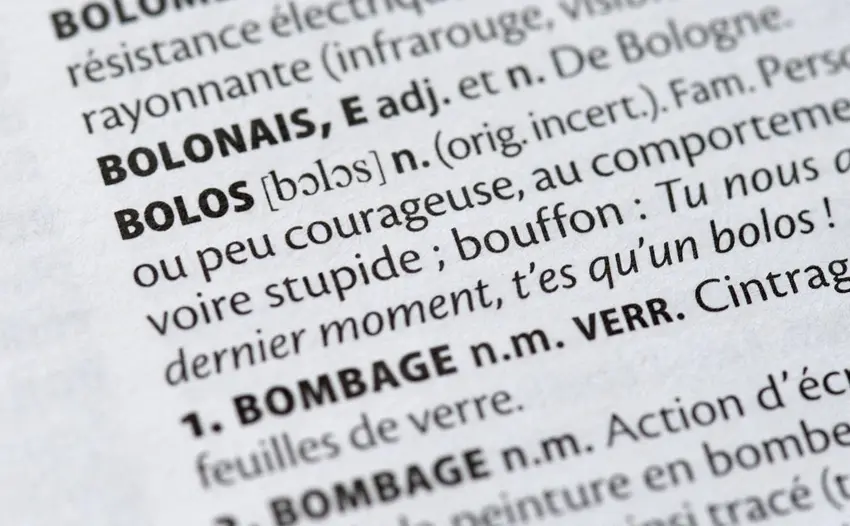 The new words added to the French dictionary for 2027