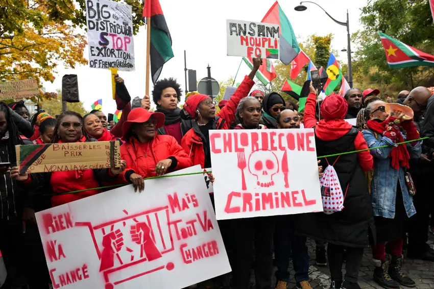 France shares blame for West Indies pesticide scandal, MPs say