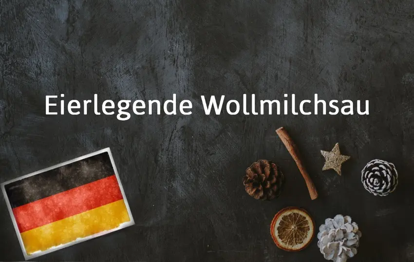 German phrase of the day: Eierlegende Wollmilchsau